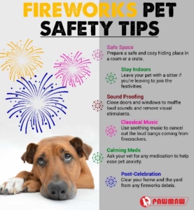 Fireworks Pet Safety Tips – Sheldon Community Fire & Rescue